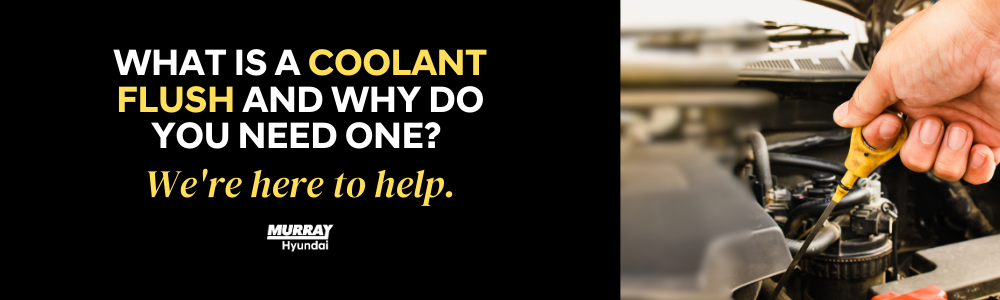 Engine Coolant Flush in Winnipeg, Manitoba | Murray Hyundai Winnipeg